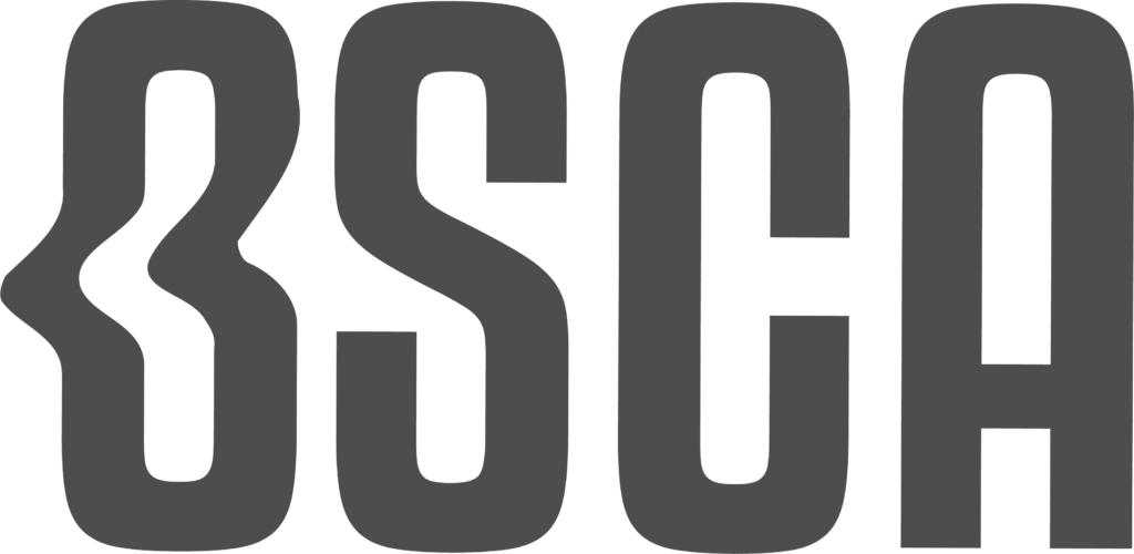 OSCA - ONLINE MARKETING AGENTUR NÜRNBERG